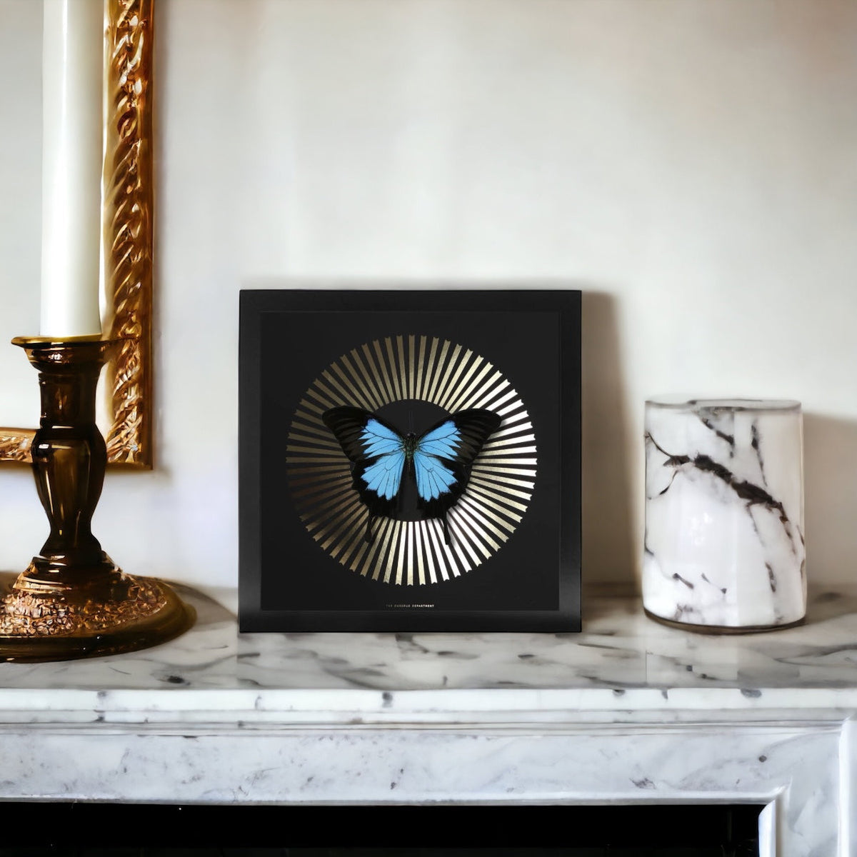 The Rise of Ethical Taxidermy: A Sustainable Approach to Interior Deco ...